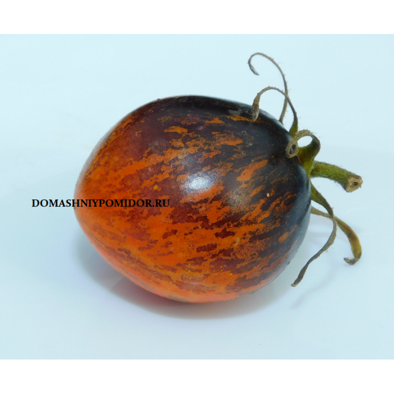 Гном Дамасская Сталь ( Dwarf Damascus Steel, США, Австралия)